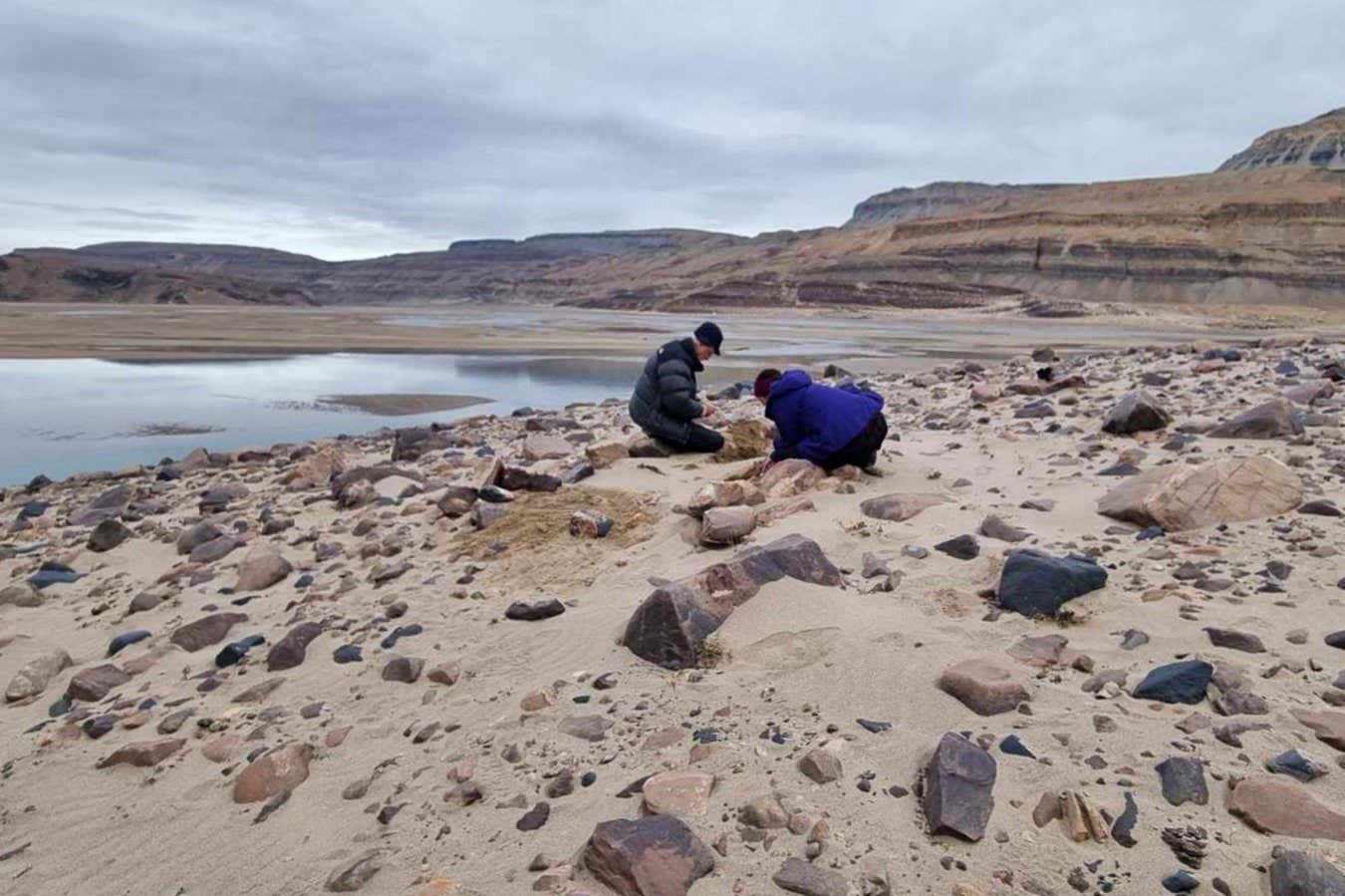Greenland voyage sheds light on little-known ancient Arctic culture ...