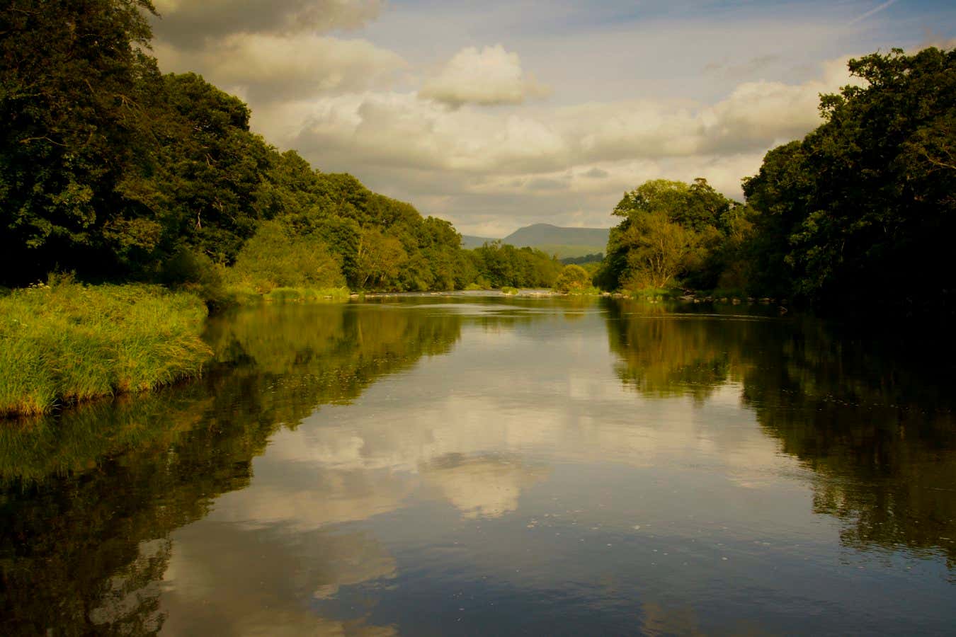 It’s time to celebrate a renaissance in English nature writing – modern ...