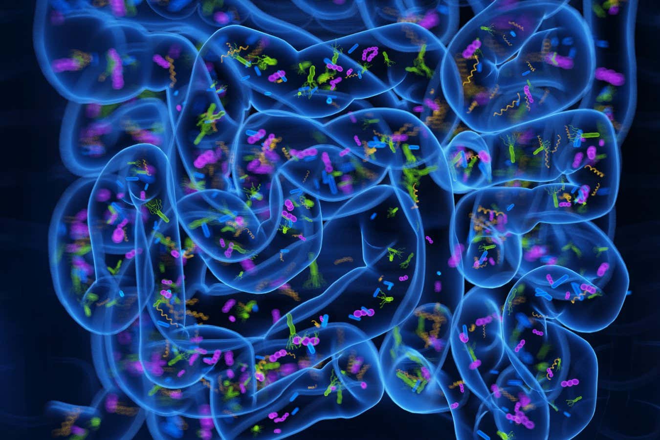 Your gut bacteria are at war – and force their enemies to switch sides ...