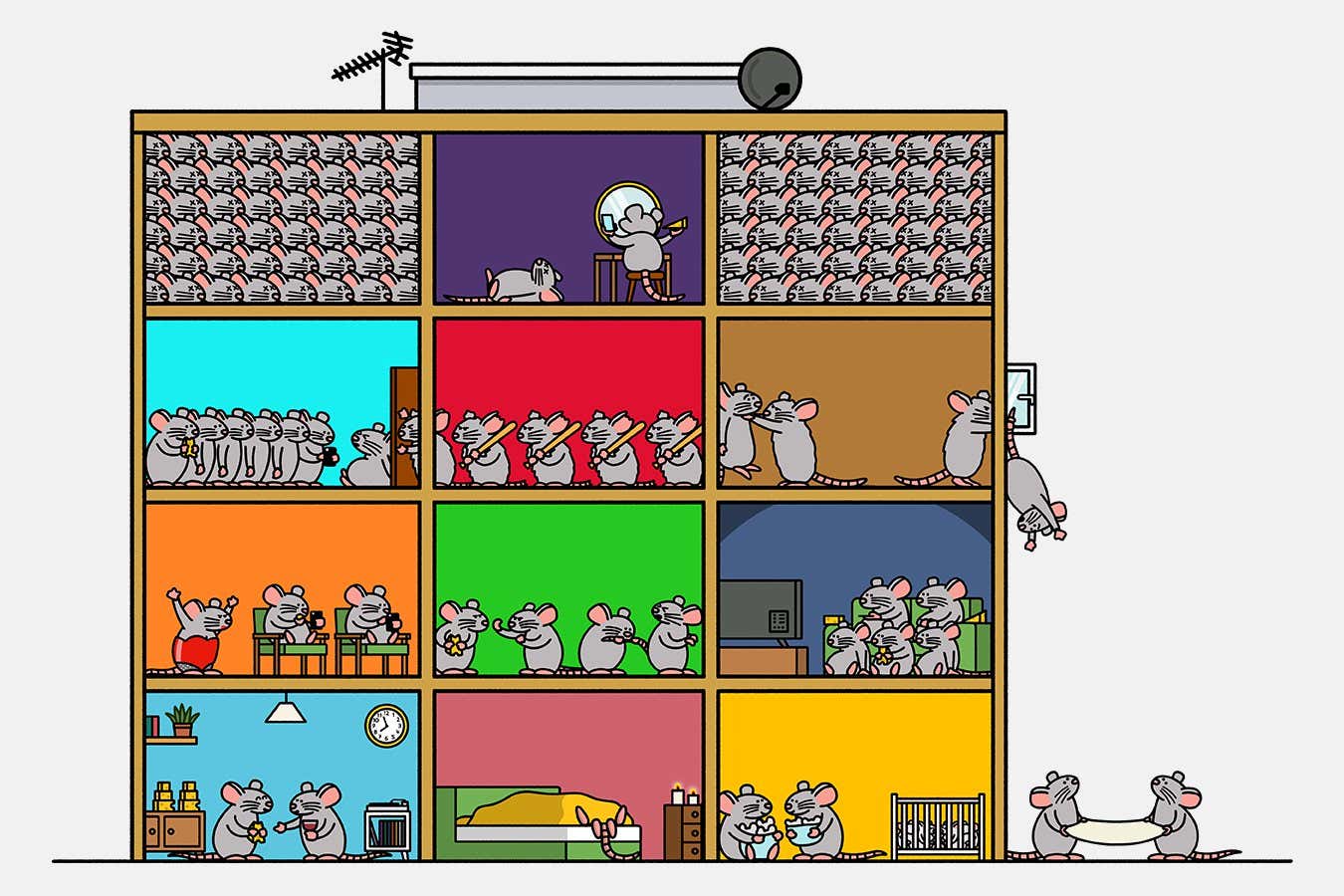 The bizarre story of a rodent utopia that predicted doom for humanity ...