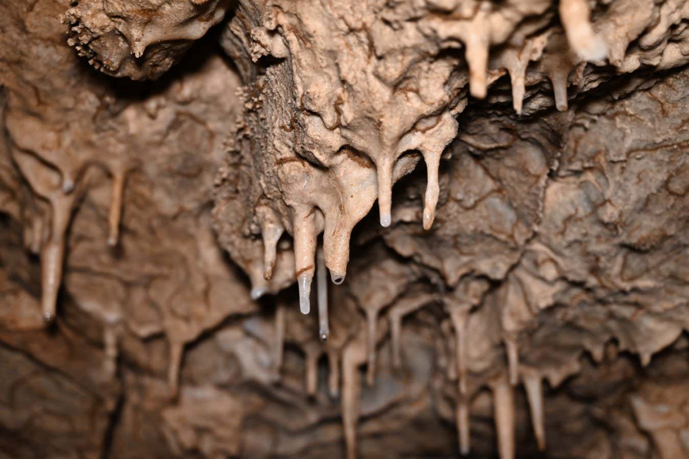 What ancient stalagmites can tell us about life on a hotter Earth ...
