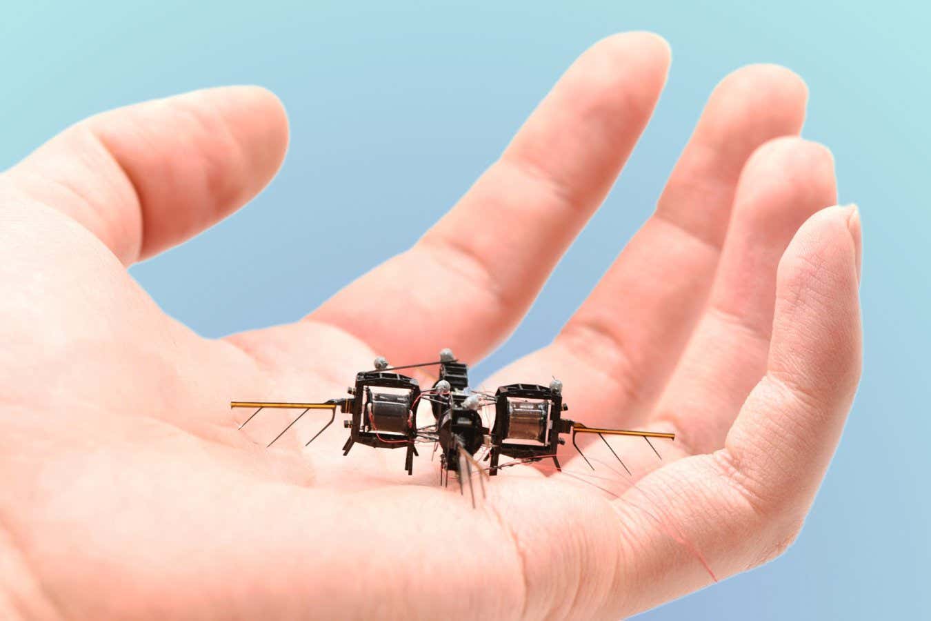 Tiny insect-like robot can flip, loop and hover for up to 15 minutes ...