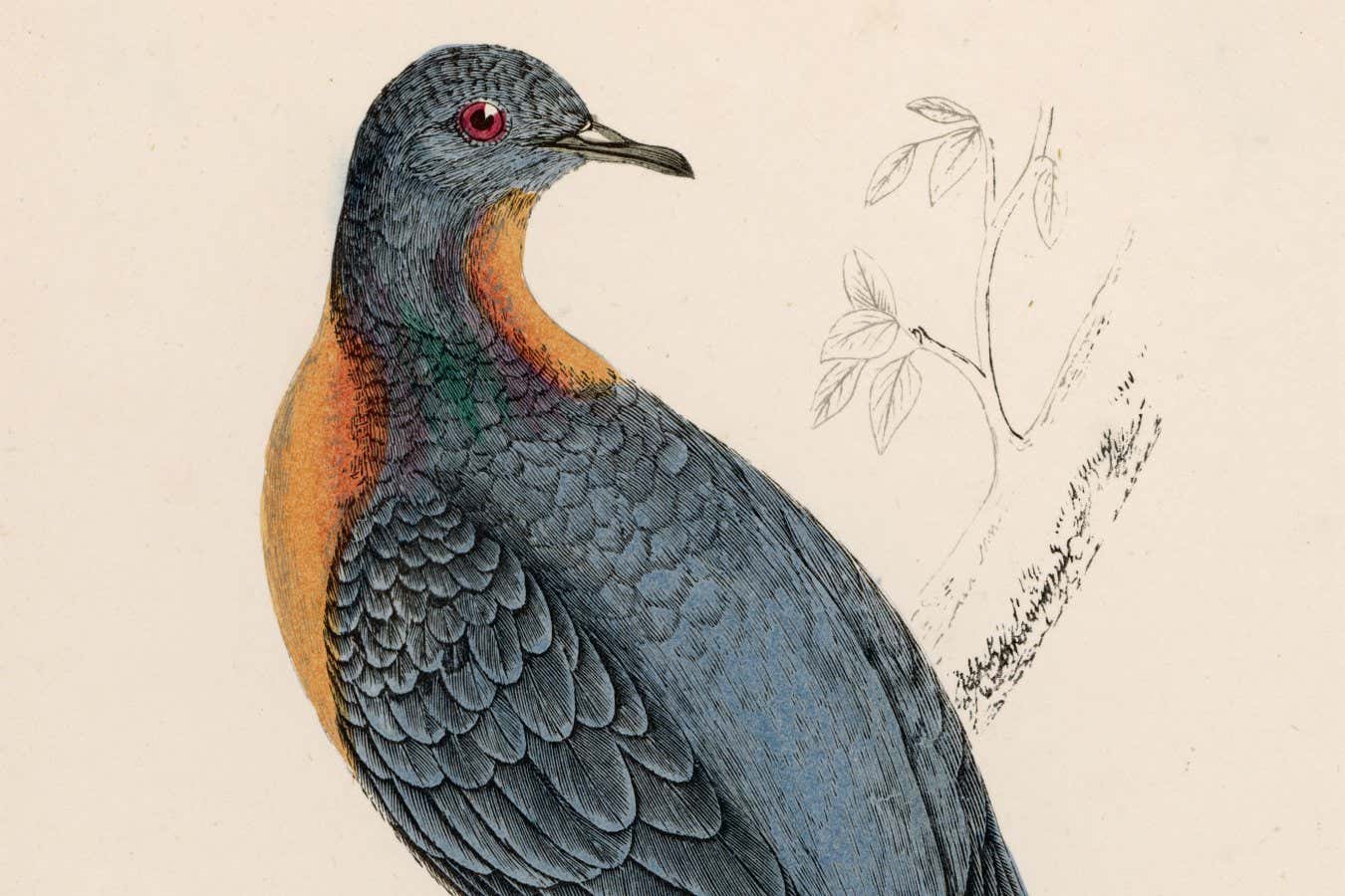 The truth about de-extinction: is it even possible, and why do it ...