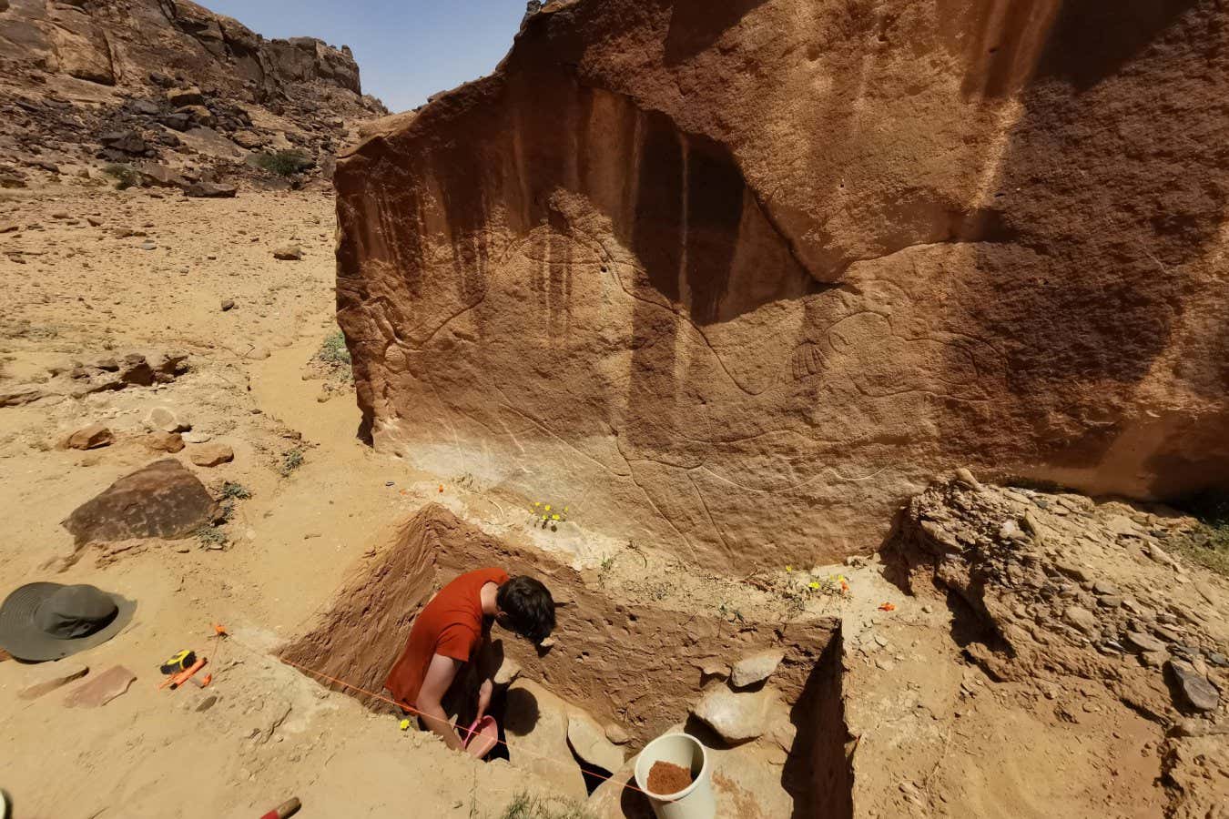 Ancient artists created giant camel engravings in the Arabian desert ...