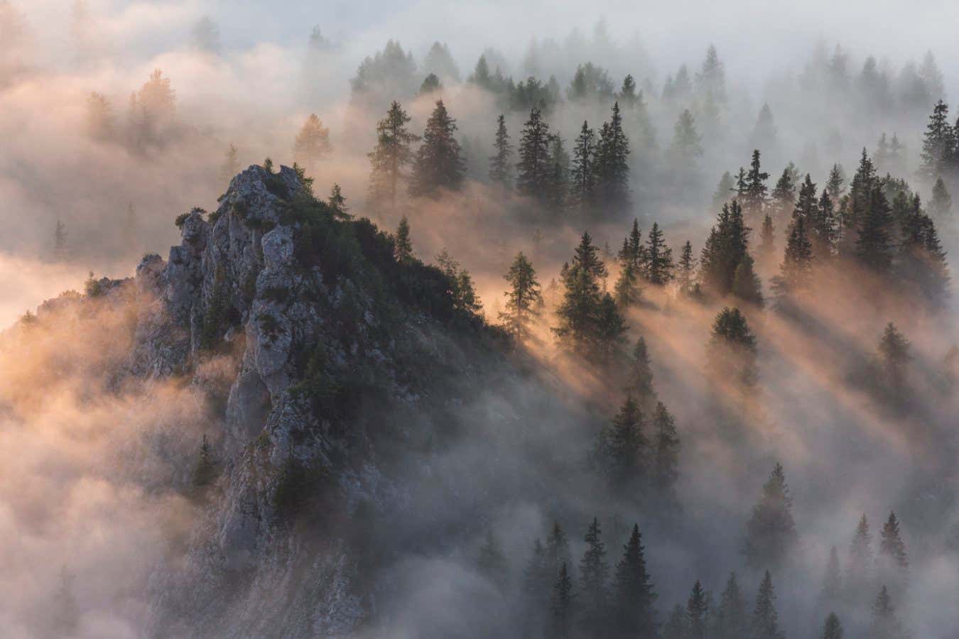 Stunning images highlight fight to save Earth’s rich biodiversity ...